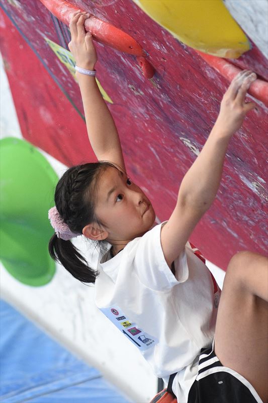 ボルダー栃木カップ in MIBU｜WEB写真館 スポーツ｜WEB写真館｜下野新聞デジタル